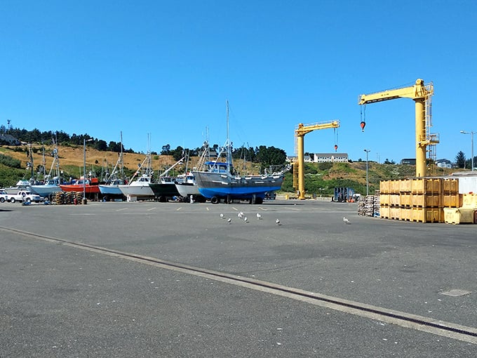 The ultimate boat parking lot! Port Orford's unique "dolly dock" hoists fishing vessels out of the water daily, a maritime ballet you won't see almost anywhere else.