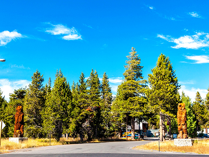 Nature's welcome committee stands tall at Bear Valley's entrance. Those carved wooden sentinels have seen every season but never needed a jacket.
