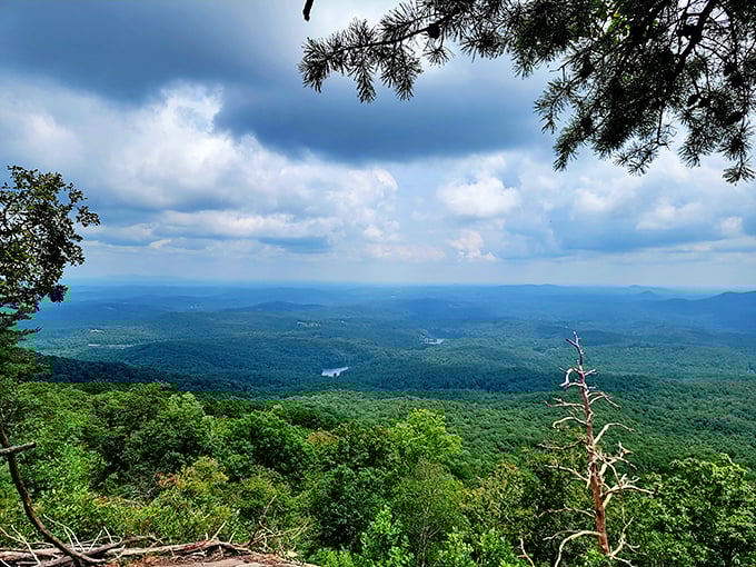 The kind of panoramic mountain vista that makes you forget your phone password and remember why getting outside matters.