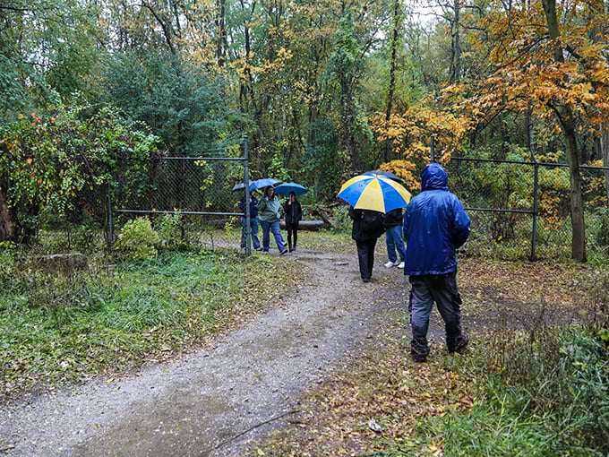 Rain doesn't deter the curious from Bachelor's Grove. Umbrellas add splashes of color to this otherwise somber pilgrimage.