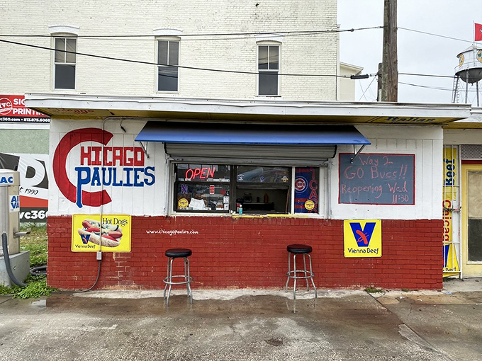 Sometimes the most extraordinary meals come from the most ordinary-looking places that dare to dream big.