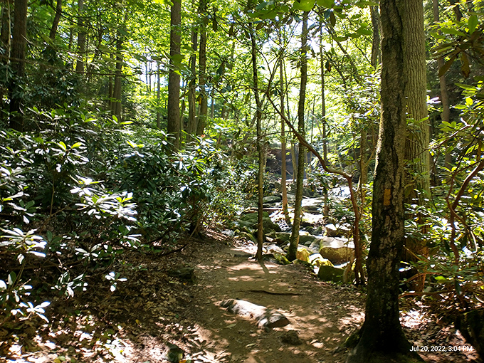 The path less traveled sometimes leads to the most spectacular views. This serene trail to Cucumber Falls promises adventure with every step.
