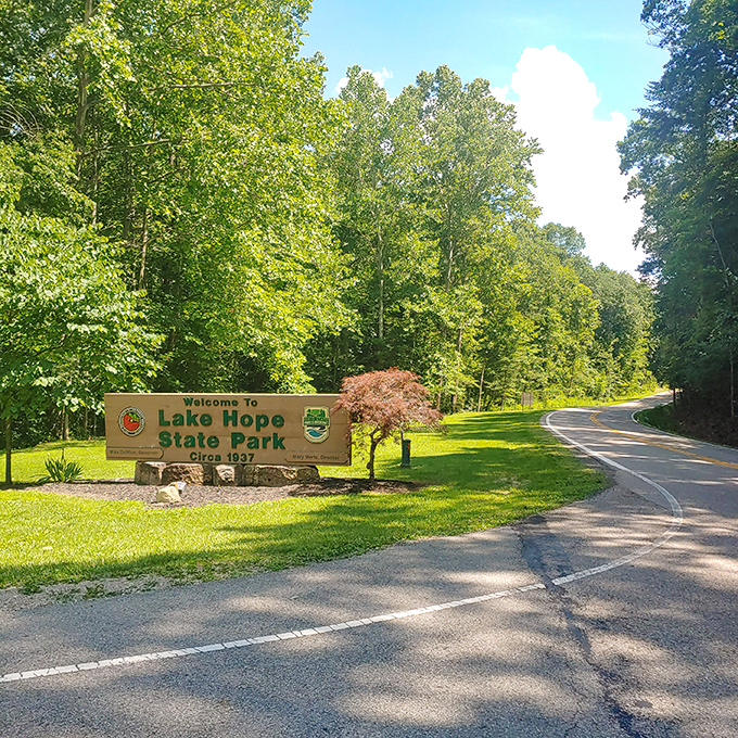 Nature's welcome mat unfurled. The entrance to Lake Hope State Park promises a retreat from digital pings and workplace stings.