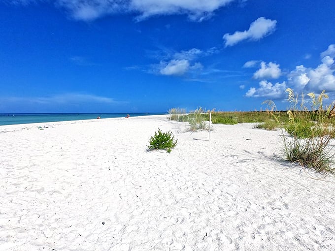 Mother Nature's finest carpet unfurls along Keewaydin's shore. This pristine stretch of sand makes even the most jaded beach-goer stop and whisper, "Now this is paradise."