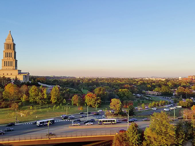 Alexandria's skyline blends history with modernity, like a timeline you can see from your park bench. That bell tower stands sentinel over it all.