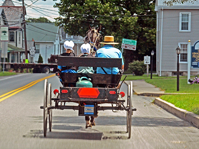 Horse and buggy: the original eco-friendly transportation. In Belleville, rush hour moves at the perfect pace for appreciating the scenery. P
