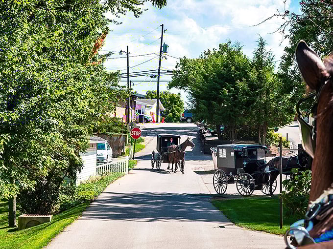 Berlin's streets showcase the perfect harmony of two worlds &ndash; where horse-drawn buggies and modern vehicles share the same roads.