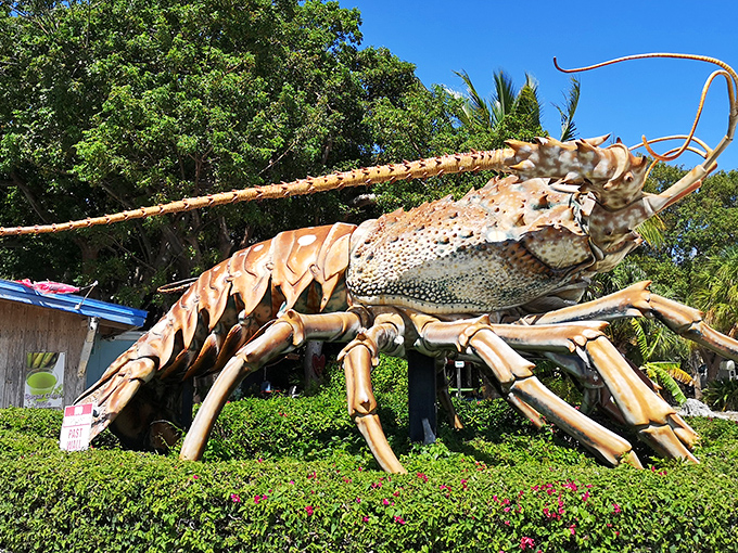 Meet Betsy, the crustacean colossus! This 40-foot lobster makes you wonder if she escaped from a 1950s sci-fi movie.