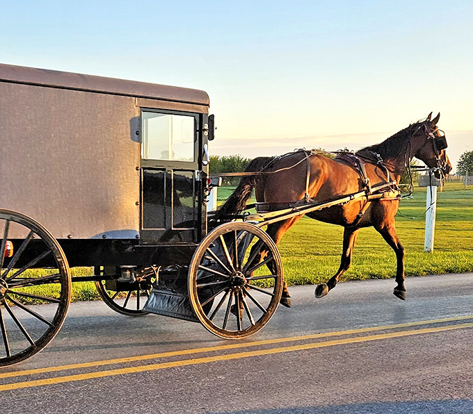 This Amish buggy makes every commute look like a scene from a peaceful period drama.