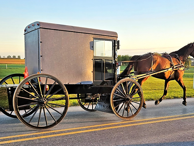 A glimpse of Amish transportation in Bird-in-Hand, where the daily commute hasn't changed in 200 years.