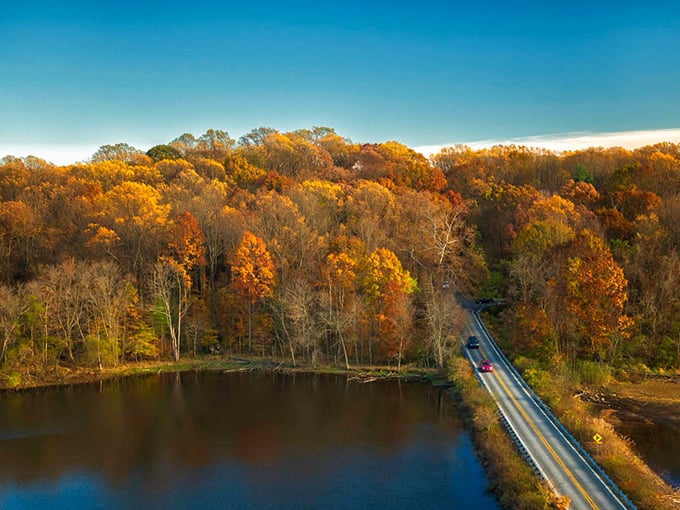 Fall's grand finale along the Brandywine Valley Byway. Mother Nature showing off her painting skills before winter's monochrome takeover.