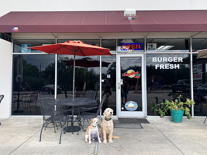 Simple storefront, extraordinary burgers. Even the dogs know Burger Fresh is worth the wait!