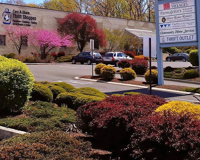 Care & Share's landscaping is as colorful as its bargains&mdash;like shopping in a garden where your wallet can breathe easy.