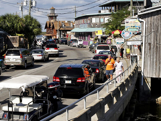 Cedar Key's main street has more character in one block than most towns have in their entire zip code.