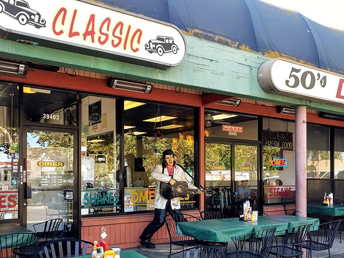 Classic 50's Diner: Elvis has entered the building! This Fremont time capsule serves up nostalgia with a side of perfectly crispy hash browns. 