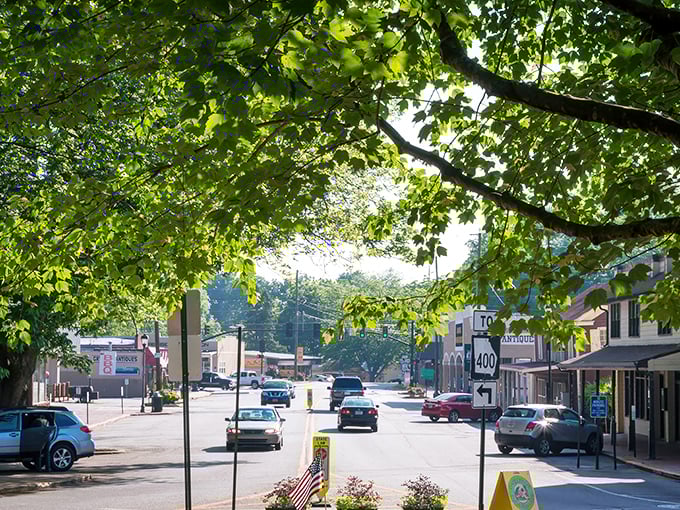 Leafy canopy frames small-town charm! Dahlonega's main street offers that perfect blend of shade and sunshine, like nature's own awning over Georgia history.