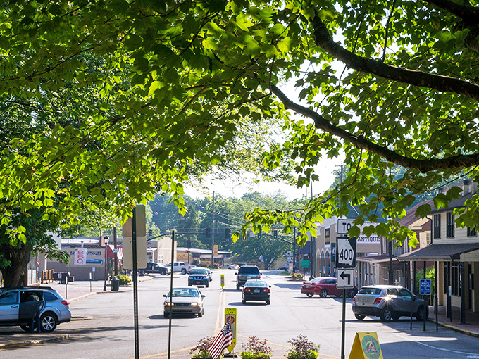 Dahlonega's tree-lined main street offers shade and charm in equal measure, like nature's own welcome mat.