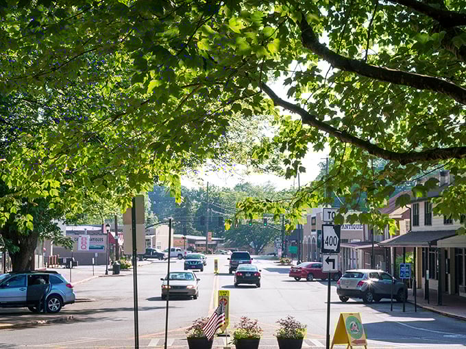 Dahlonega's tree-lined streets invite you to slow down and breathe. Small-town charm with a golden history.