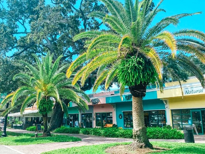 Palm trees and pastel shops - Dunedin's downtown looks like a Jimmy Buffett song came to life, minus the margaritas.