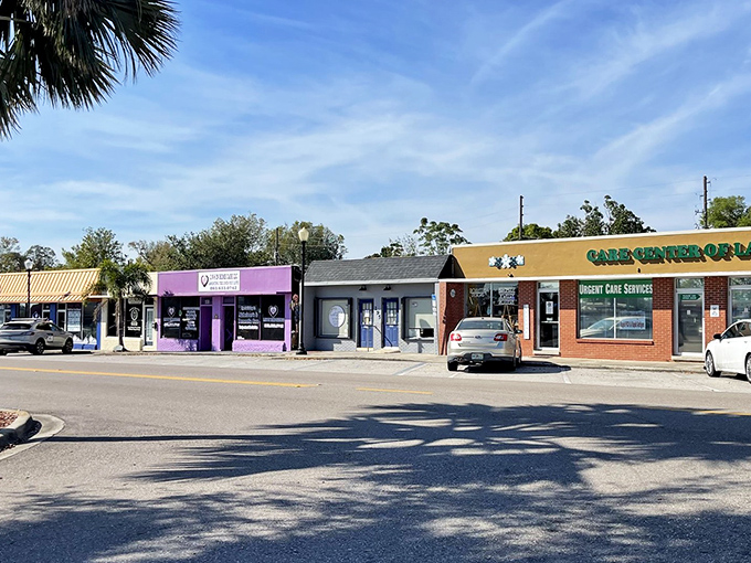 Lake Placid's colorful buildings look like they escaped from a Wes Anderson movie set &ndash; that pink Caladium Arts & Crafts Co-op is Florida's answer to the Grand Budapest Hotel.