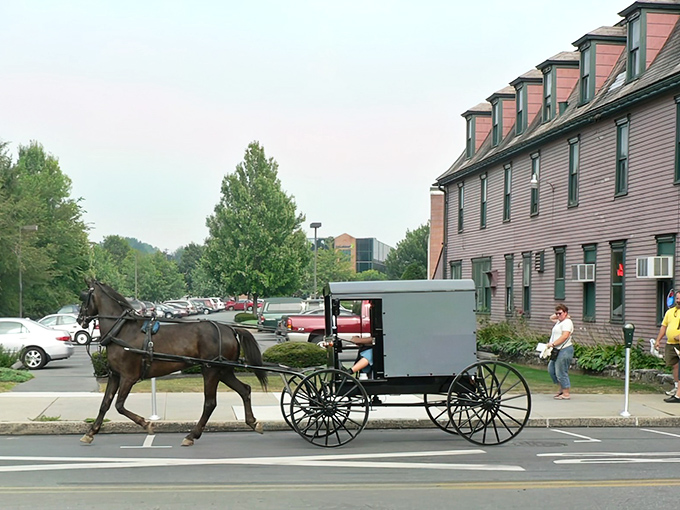 An Amish buggy passes by modern buildings in Lititz - where centuries-old traditions meet contemporary life.
