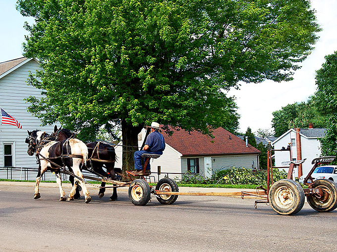 Horsepower of a different kind! This Amish farmer's commute might be slower, but the views are infinitely better than any highway.