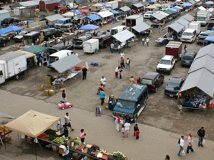 Rows of white tents and pickup trucks create the classic Florida flea market landscape&mdash;where farmers meet bargain hunters.