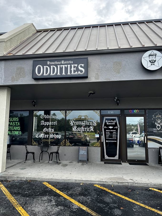 Prometheus Esoterica's storefront promises mysteries darker than your morning coffee. This Winter Park oddity shop is where Hogwarts meets natural history.
