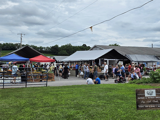 Deal-seekers' paradise under open skies! Rogers' outdoor market buzzes with the energy of hundreds of hopeful treasure hunters.