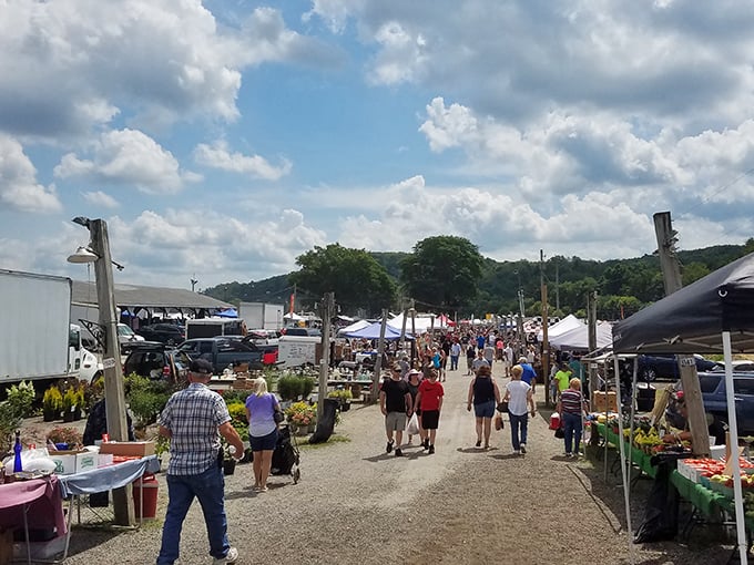 Rogers Flea Market: where social distancing means shouting your bargain counter-offer from three tables away.