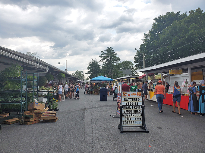 Roots Country Market from above &ndash; a sea of vendors and vehicles in rural Pennsylvania. Woodstock for bargain hunters!