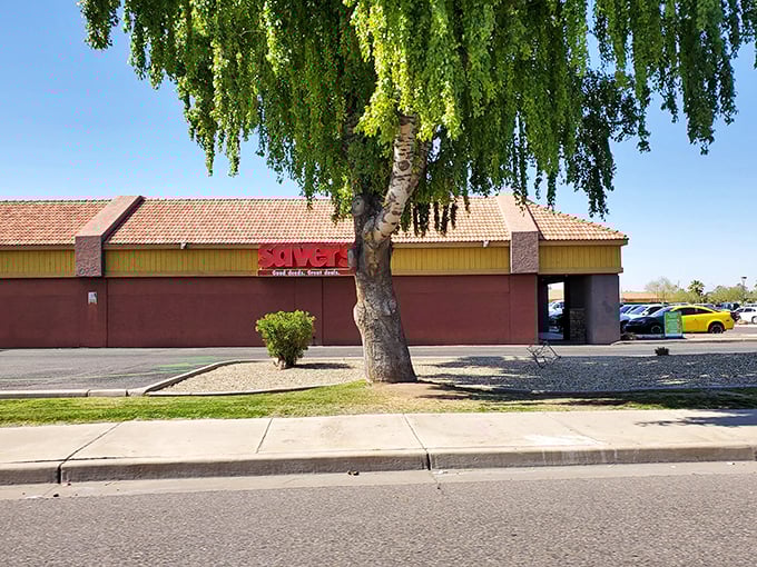Savers on Bell Road stands tall under that Arizona sky, with a welcoming tree providing rare desert shade.