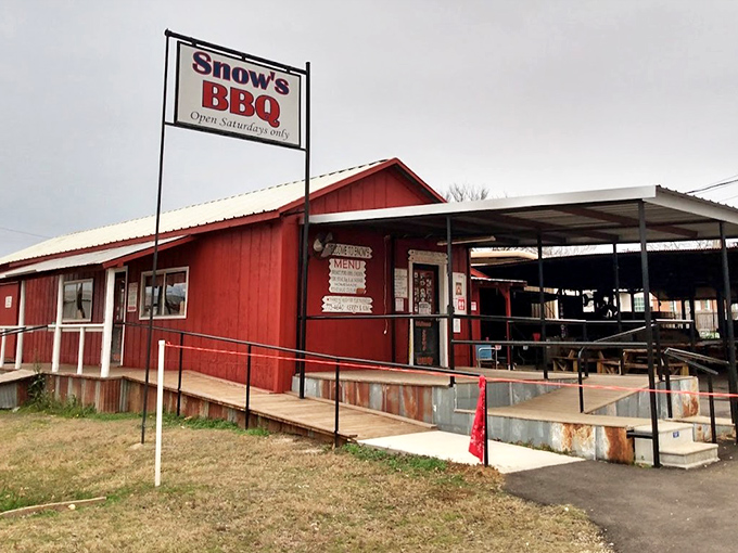 Snow's BBQ (Lexington): The little red BBQ shack that could. Only open Saturdays, but worth planning your entire week around.