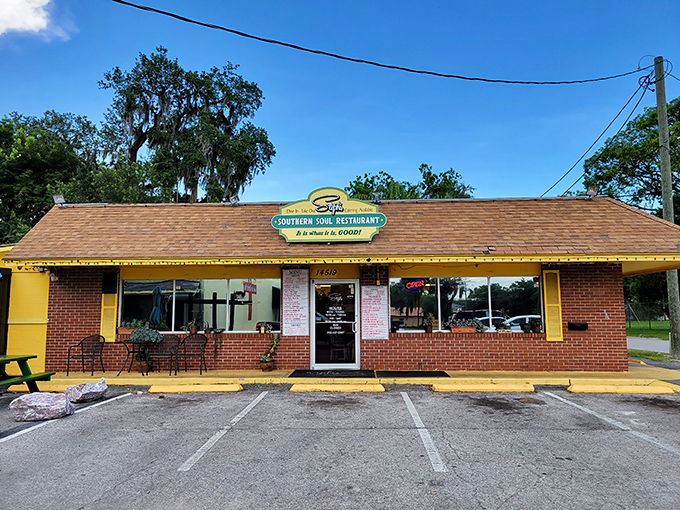 Don't judge this brick beauty by its humble cover - inside lies soul food that'll make you question everything.