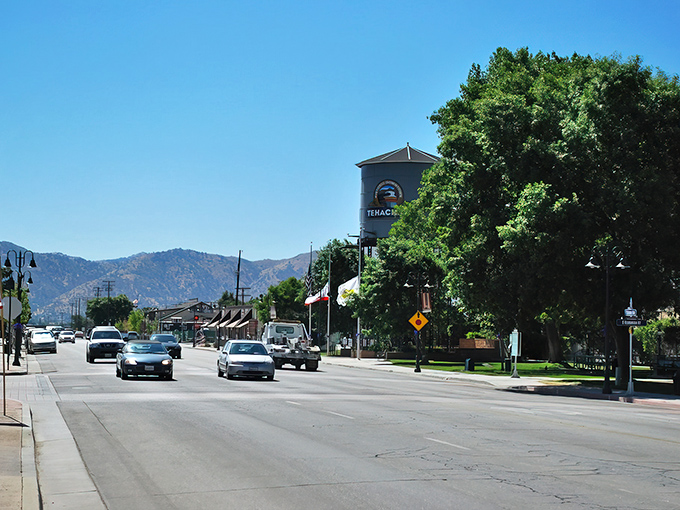 Tehachapi's main drag offers that perfect blend of everyday necessities and small-town character. No rush hour traffic in sight!