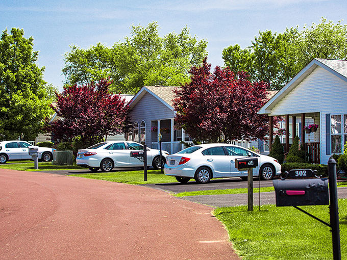 Tree-lined streets that whisper "slow down and enjoy life" while your Social Security check covers it all.