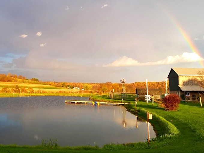 Mother Nature showing off again! That rainbow is basically saying, "You're welcome for this perfect moment." 