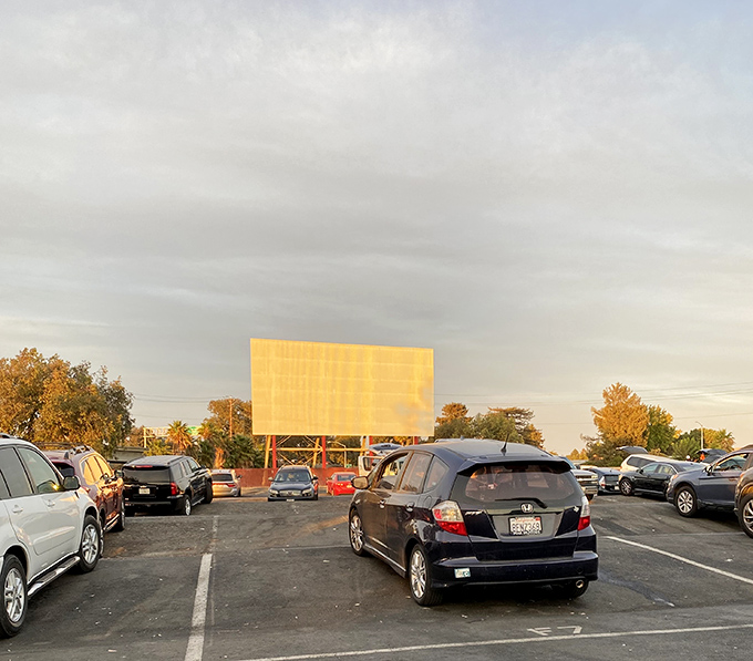 Golden hour at West Wind Solano Drive-In. Cars line up perfectly like eager moviegoers waiting for that first scene to light up the screen.