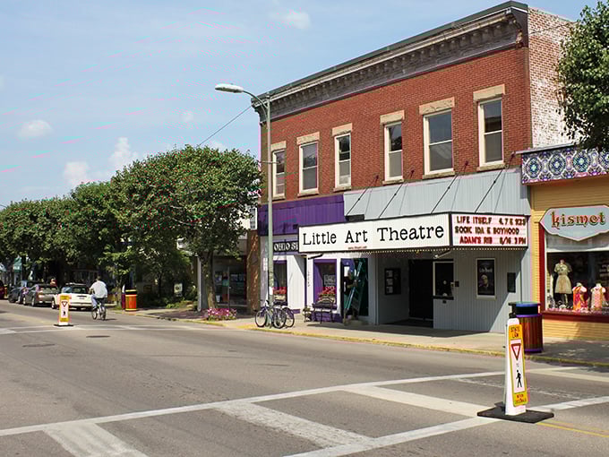 The Little Art Theatre: where indie films find their audience and popcorn tastes better without celebrity endorsements.