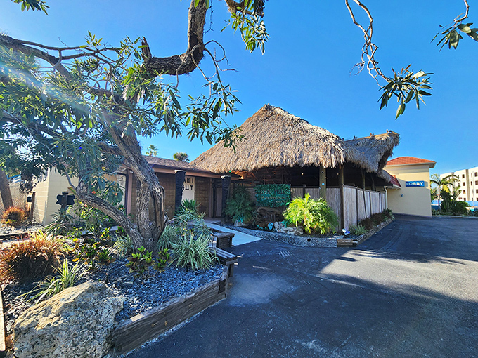 That perfect tiki hut your grandparents dreamed about in retirement? This charming little slice of paradise delivers exactly that.