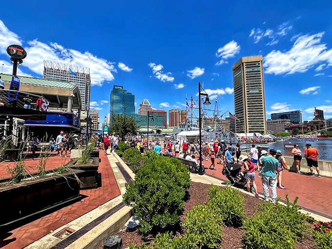 The Inner Harbor bustles with families enjoying waterfront views that never get old, no matter how often you visit.