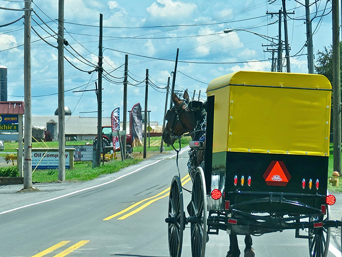 Where horsepower means exactly that! This yellow-topped buggy might not have GPS, but the driver knows every back road to fresh-baked bread. 