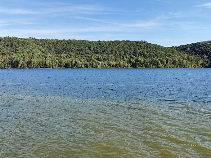 The Pocono Mountains stand guard over Beltzville's pristine waters, creating a swimming spot that rivals any tropical getaway.