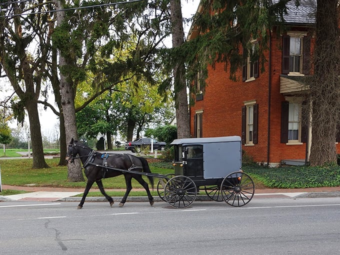 Morning commute, Amish-style! This peaceful scene in Bird-in-Hand reminds us that sometimes slower really is better.