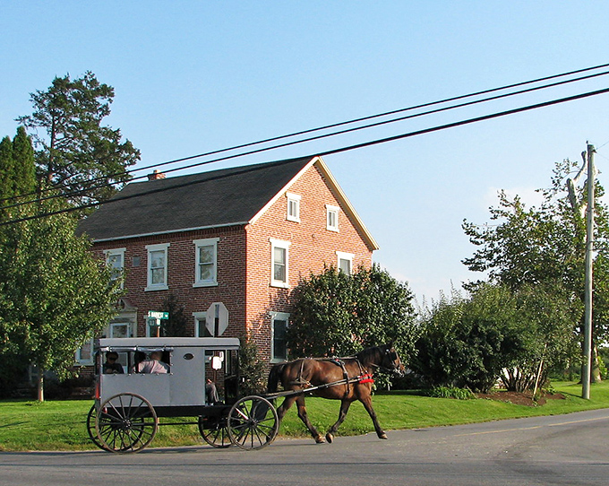 Rush hour in Bird-in-Hand: where the only traffic jam involves actual horse power and genuine patience.