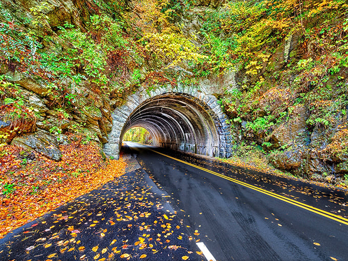 Stone tunnels and autumn splendor&mdash;Cades Cove Loop Road delivers drama that even your favorite Netflix series can't match!