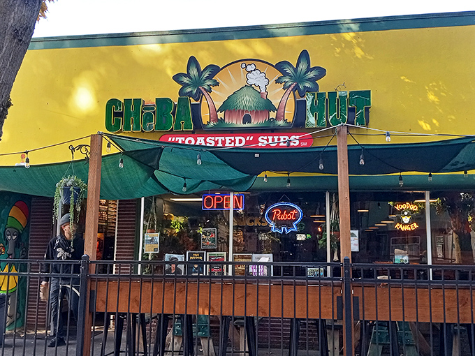 Palm trees and string lights create a tropical oasis at Cheba Hut, where "toasted" subs have earned a cult following.