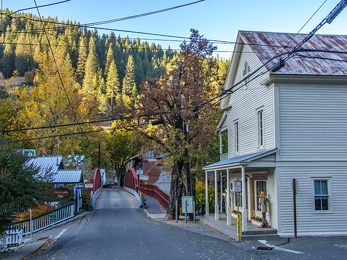 That little red bridge in Downieville might as well be a time machine to 1850. Pure Gold Rush magic!