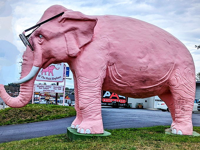Standing tall in her pink glory, Ellie proves that sometimes the best roadside attractions are the ones that make you smile.