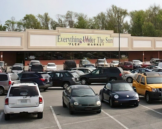 Parking lot packed with possibility! This North Myrtle Beach institution draws bargain hunters like moths to a flame.